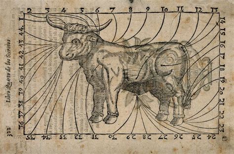 Numbered Code Block Lines In Eleventy With Shiki Twoslash Oletsdev