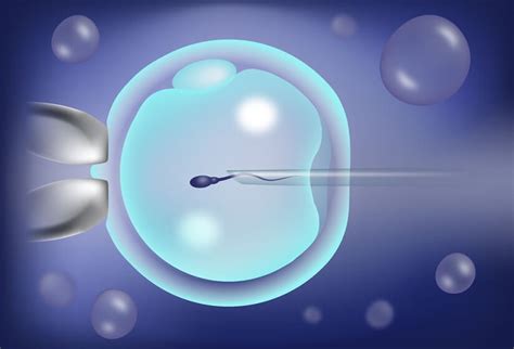 Decoding Ivf Triumphs Age And Embryo Numbers Unveiled