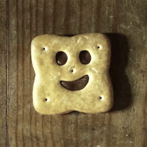 Biscuit S Find And Share On Giphy