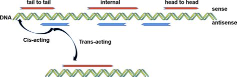 According To The Original Location In Relative To Its Sense