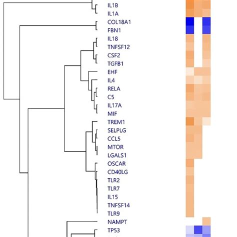 Upstream Regulators Between Comparison Groups In The Comparison