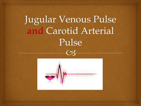 Ppt Jugular Venous Pulse And Carotid Arterial Pulse Powerpoint Presentation Id1949693