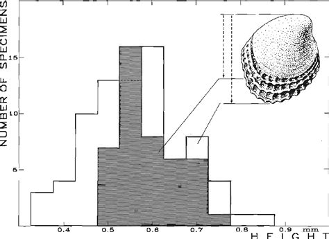 Figure 1 From Evolution Of Small Shelly Fossils Assemblages Of The Early Paleozoic Semantic