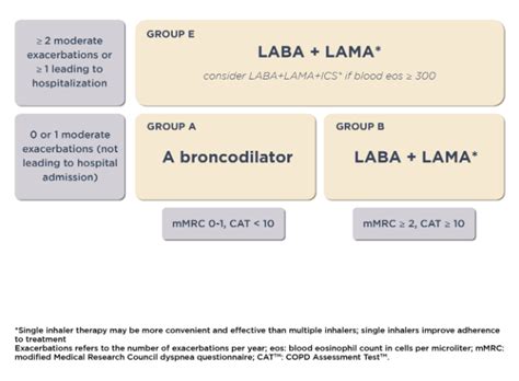 GOLD Treatment Guidelines For COPDCampus Sanofi