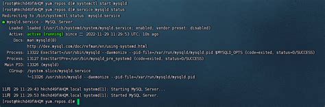 Linux安装MySQL 详细到极致 小威博客