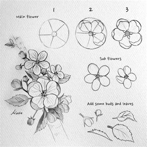 12 Flower Drawing Easy Tutorials For Beginners To Draw Come Disegnare Fiori Tutorial Per