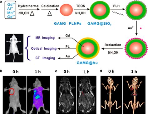 A Schematic Illustration Of The Synthesis Of Gamgau Core − Shell Download Scientific Diagram