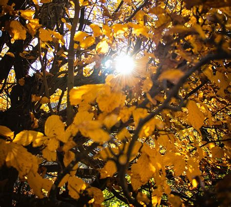 طبیعت شگفت‌انگیز آستارا در پاییز کجارو