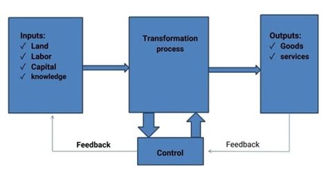 Production Function Flashcards Quizlet