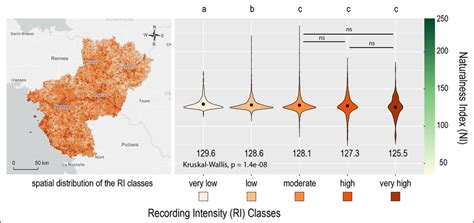 On The Left A Map Of The Spatial Distribution Of The 5 Ri Classes Download Scientific Diagram