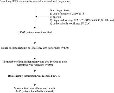 Flow Chart Showed Selection Of Non Small Cell Lung Cancer Nsclc