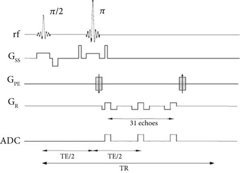 Gesse Sequence Timing Diagram Download Scientific Diagram