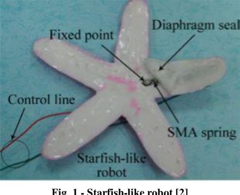 Figure 1 From Design Optimization And Analysis Of A Soft Crawling Robot Semantic Scholar