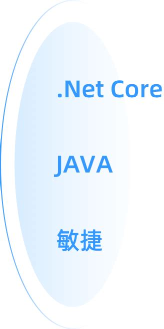 力软 低代码快速开发平台敏捷开发框架简单易用的netandjava快速开发框架