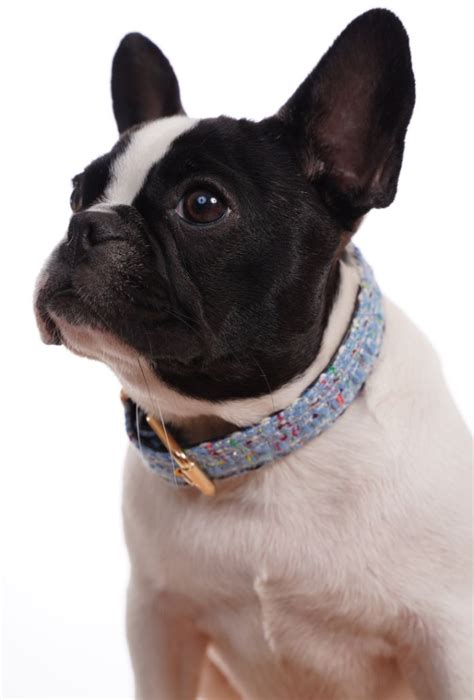 Coco Set Koda And Co