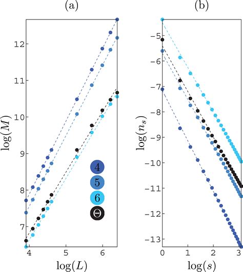 Scale Invariance Nature