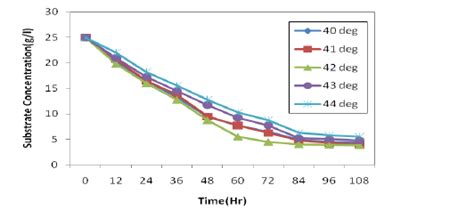 Effect Of Temperature On Substrate Concentration In The Production Of Download Scientific