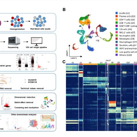 Overview Of The Approaches Used For Analyzing Transcriptomic Landscape