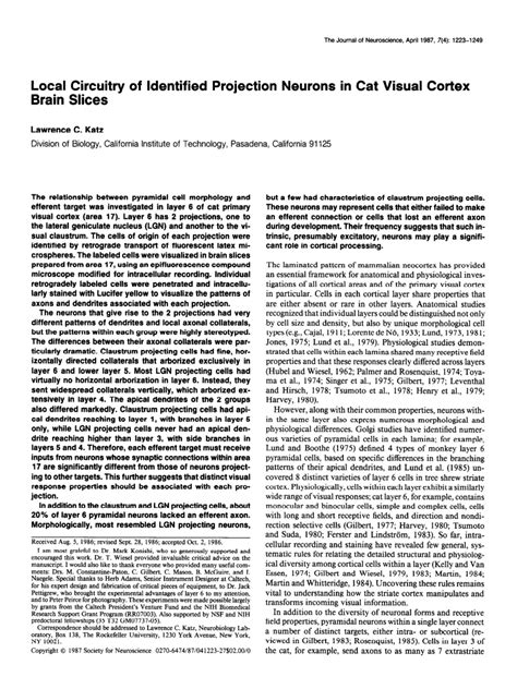 Pdf Local Circuitry Of Identied Projection Neurons In Cat Visual Cortex Brain Slices