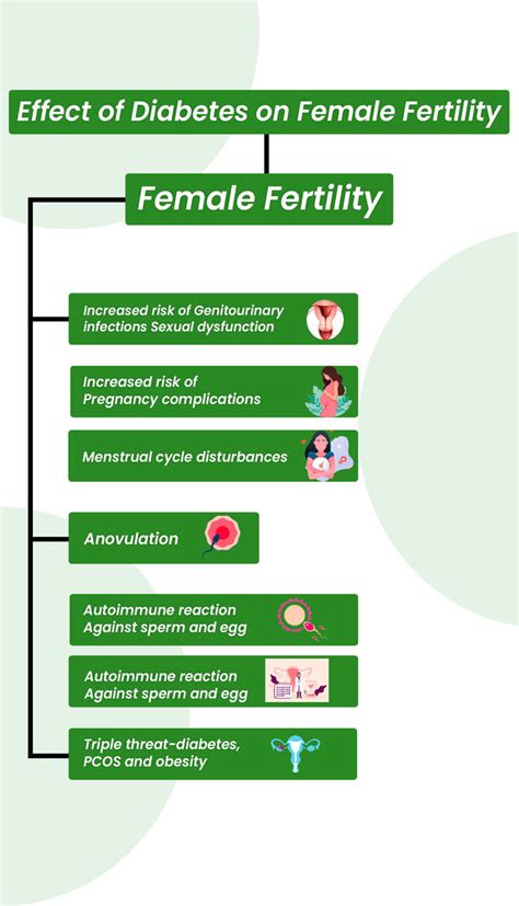 Diabetes And Infertility Understanding The Link And How To Overcome It