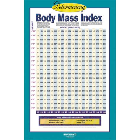Bmi Chart For 161 Bmi
