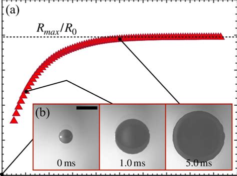 A Time Evolution Of Spreading Radius Rt Of Wb W E 182 Re