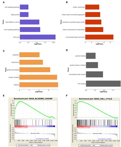 Functional Annotation And Gsea Analysis For Brown Module A The
