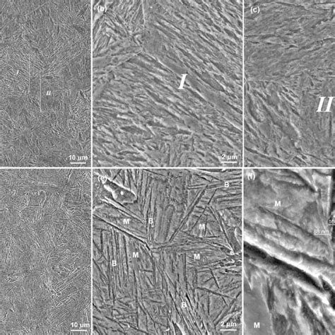 Sem Images To Compare The Microstructure Of A C Sample Wq And D F Download Scientific Diagram