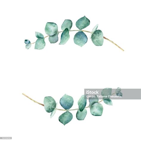 수채화 유칼립투스 분기 화환 프레임은 흰색 배경에 격리되어 있습니다 손으로 그린 식물 그림입니다 문구류 청첩장 날짜 저장 인사말 카드 로고 인쇄물에 이상적입니다 수채화에