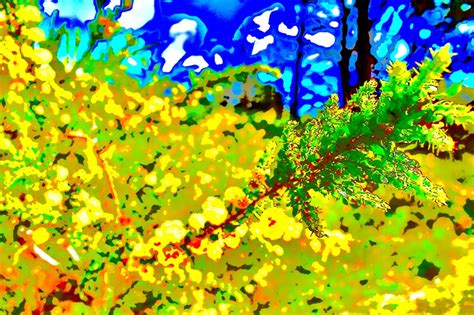 Lessie Does New The Glory Story Record Company