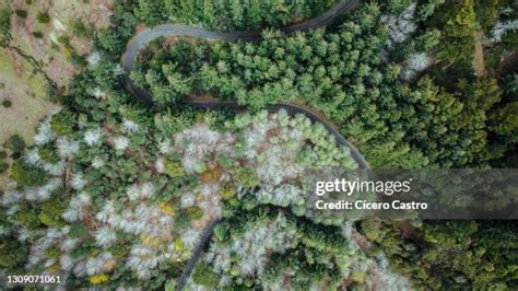 Montado Photos And Premium High Res Pictures Getty Images
