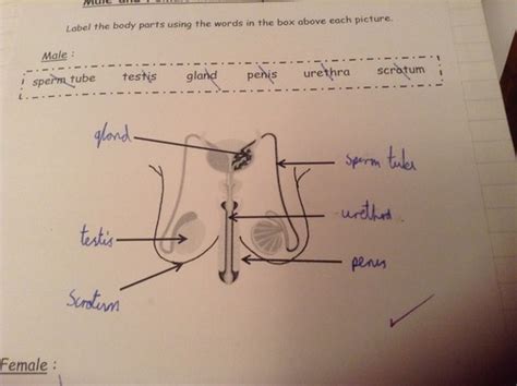 Year Science Reproduction Flashcards Quizlet