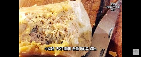 10대 혐오 음식 이탈리아 구더기 치즈 짱공유닷컴 명예의 쩐당