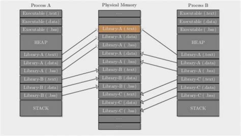 Executables And Processes Binary Security