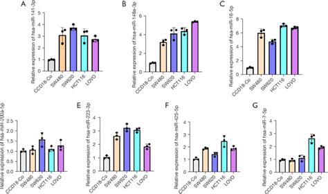 The Expression Levels Of 7 Mirnas In The Colon Cancer Cell Lines Sw480 Download Scientific