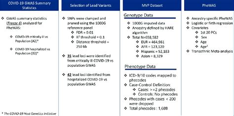 Overview Of Variant Selection And Phewas Analysis Design Download
