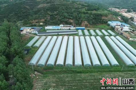 山西和顺义兴镇：“三措并举”打好“党建耕地保护”组合拳 中国新闻网 山西 影响山西的力量 中新山西网