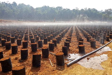 Sumisansui MarkⅡ Soft Spray Type Irrigation Materials Products Sumika Agrotech Co Ltd