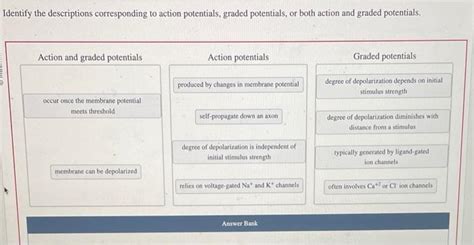 Solved Dentify The Descriptions Corresponding To Action Chegg Com