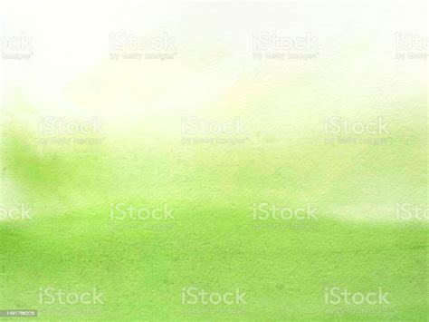 수채화 손으로 그린 그림 그림은 하얀 배경에 고립된 신선한 녹색 잔디입니다 디자인 자연 경관을 위한 여름 잔디 요소 봄 허브 유기농 바이오 에코 라벨 및 모양 0명에 대한