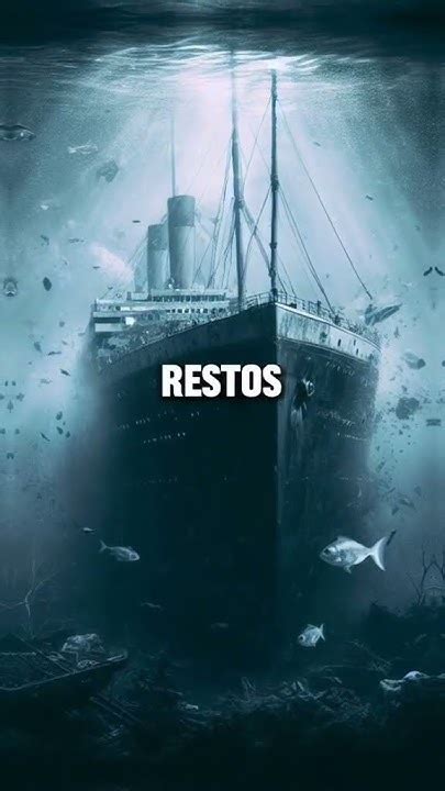Sabias Que Curiosidades Datoscuriosos Sabiasque Youtube