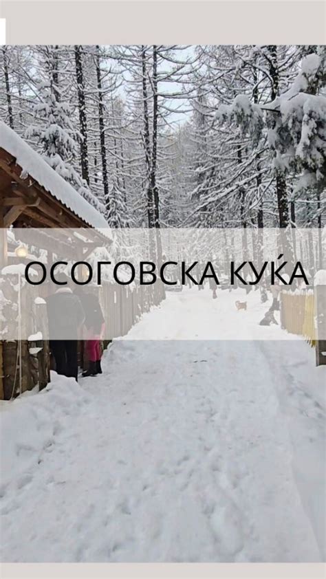 Готвените јадења на мама 🫶 Посна вртена пита баничка со праз 👌 Колку од вас помислиле некогаш