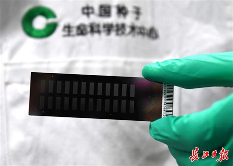 位于武汉新城规划核心区，总部型企业落户最高奖1000万元要闻新闻中心长江网cjncn