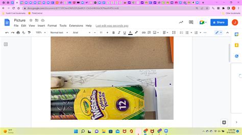 Drew Precise Bee Aiming A Laser Pointer At Fuzzy Bees Face The Art