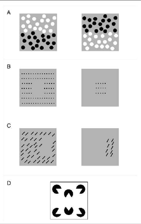 Schematics Of Visual Displays Used To Examine The Role Of Temporal Cues Download Scientific
