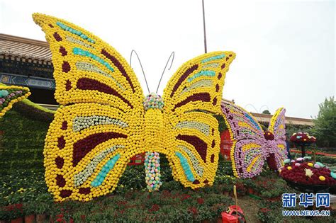 开封花团锦簇 喜迎宾朋 河南文明网