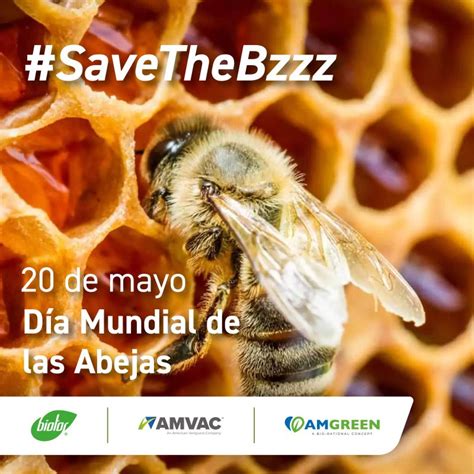Biotor Abejas Biopesticidas Agriculturasostenible Biotor