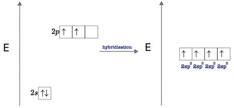 How Many Sp 3 Hybrid Orbitals Result From The Hybridizatio Quizlet