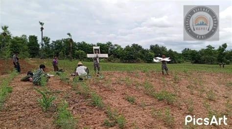 ယင်းမာပင်တွင် ဘန့်ဘွေးပျူရွာစစ်ကောင်စီစခန်းကို မောင်းသူမဲ့လေယာဉ်ငယ