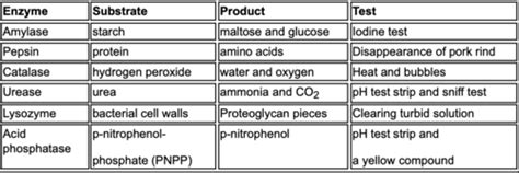 Bio Lab Practical Exam 1 Flashcards Quizlet